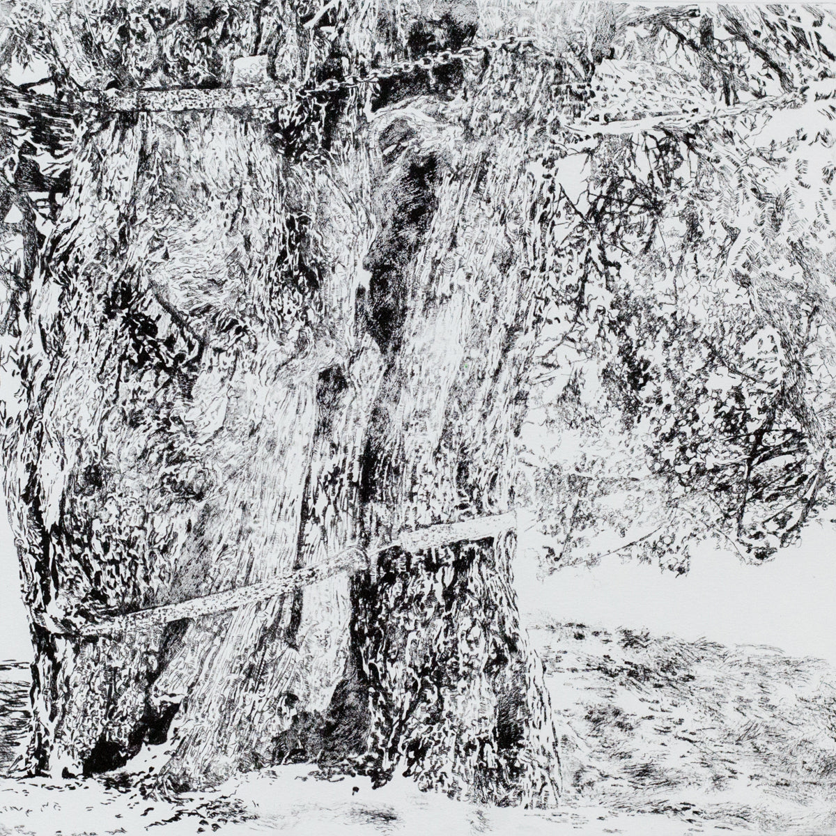 Drypoint prints – Salmon Jam Press