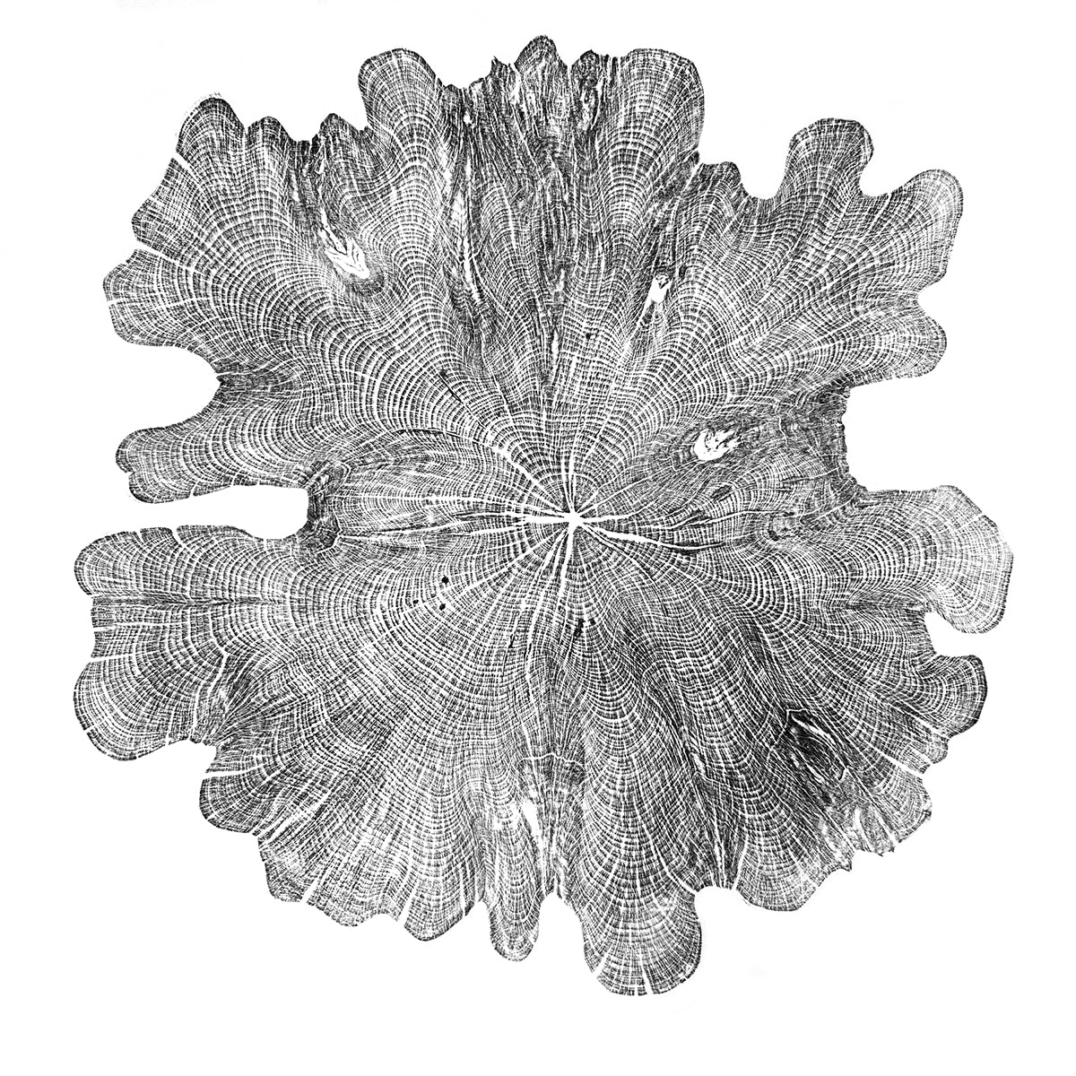 Yew – Salmon Jam Press