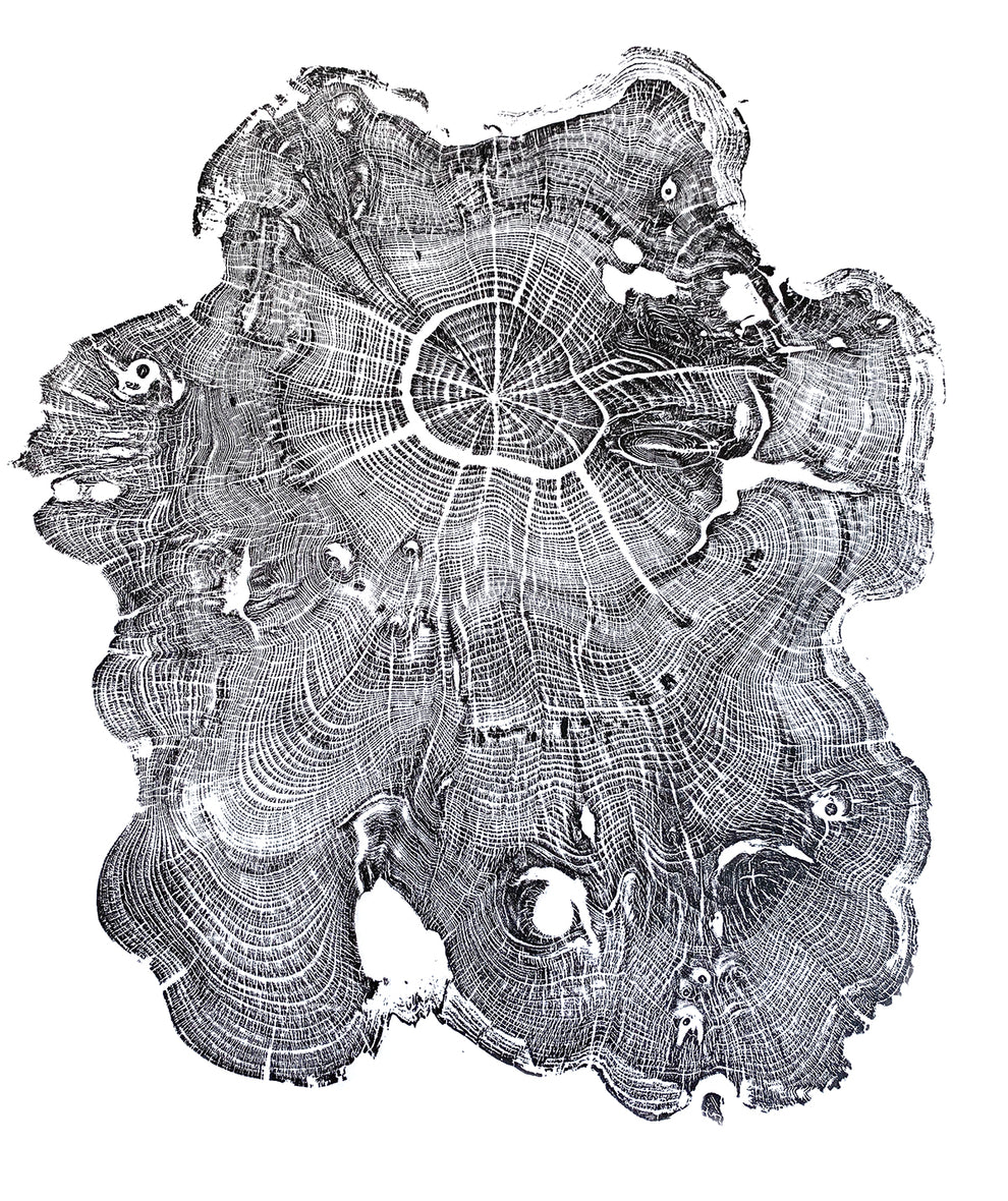 Shona Branigan Tree Ring Print Fountains Abbey Yew – Salmon Jam Press